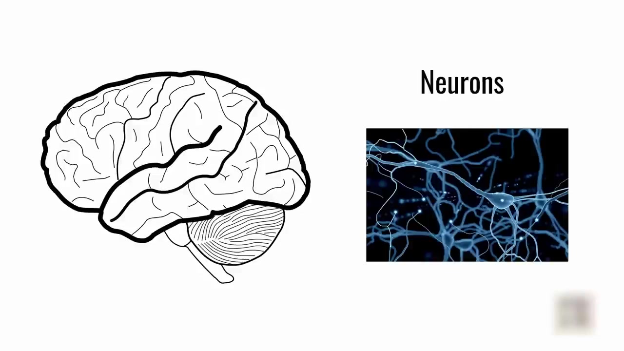 Python ML Tutorial #1: Unlock the Secrets of Machine Learning - Zookap